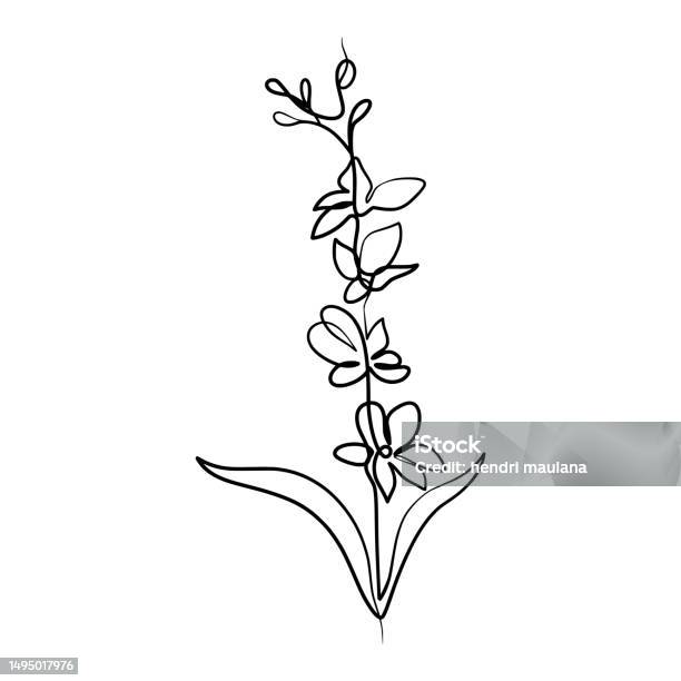 Dessin Continu Dune Ligne De Fleur Dorchidée De Beauté Vecteurs Libres