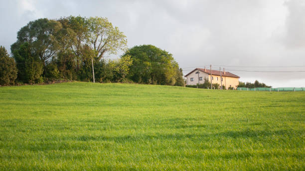 Free Stock Photo of A house in a field with trees in the background ...
