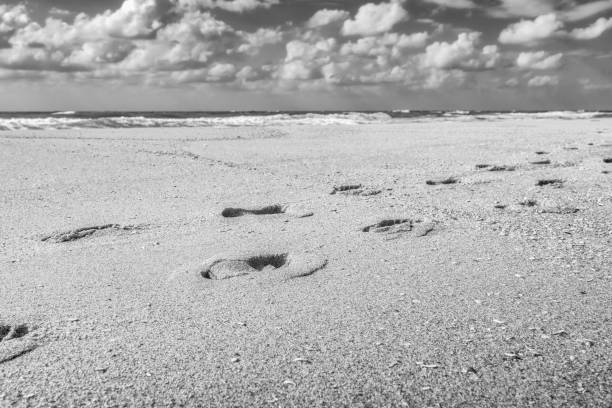 Free Stock Photo of Long Line of Footprints in Black and White ...