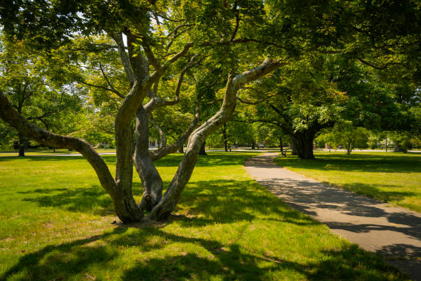 60,000+ Free Park & Nature Photos - Pixabay