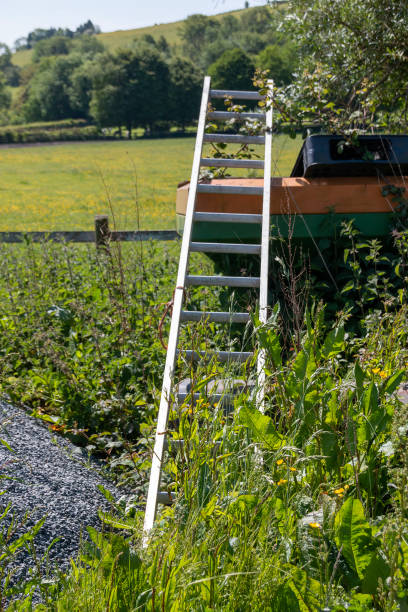 Free Stock Photo of terraced ladder farm | Download Free Images and ...