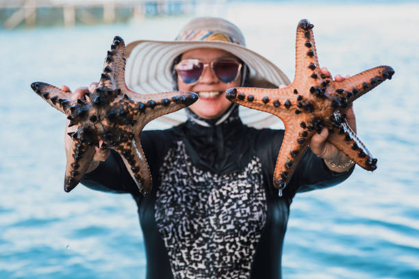 Free Stock Photo of Person Holding Starfish in Hands | Download Free ...
