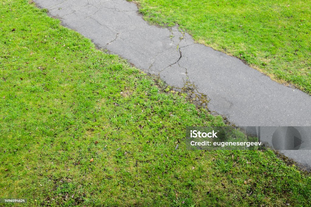 Jalur Taman Jalan Aspal Pejalan Kaki Melewati Halaman Rumput Hijau Foto ... Jalur Taman Jalan Aspal Pejalan Kaki Melewati Halaman Rumput Hijau Foto ...