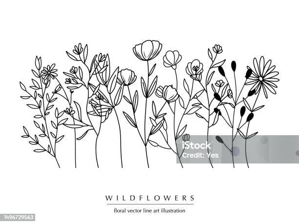 Botanical Abstract Line Art Composition Minimal Floral Border Of Hand