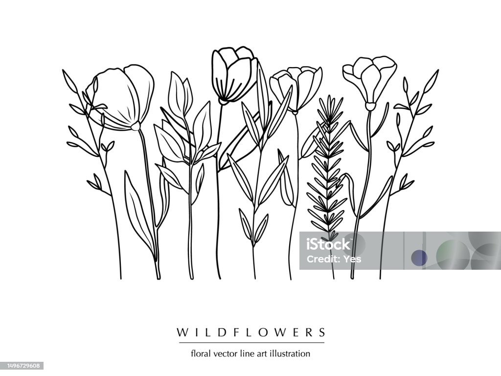 Botanical Abstract Line Art Composition Minimal Floral Border Of Hand
