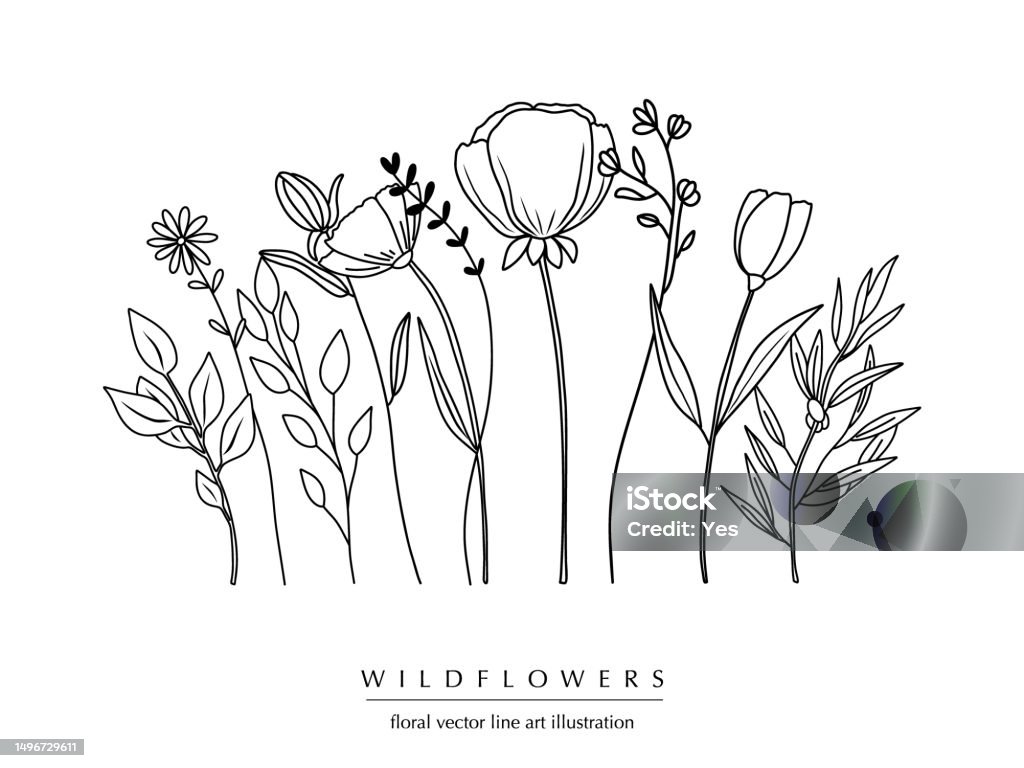 Botanical Abstract Line Art Composition Minimal Floral Border Of Hand