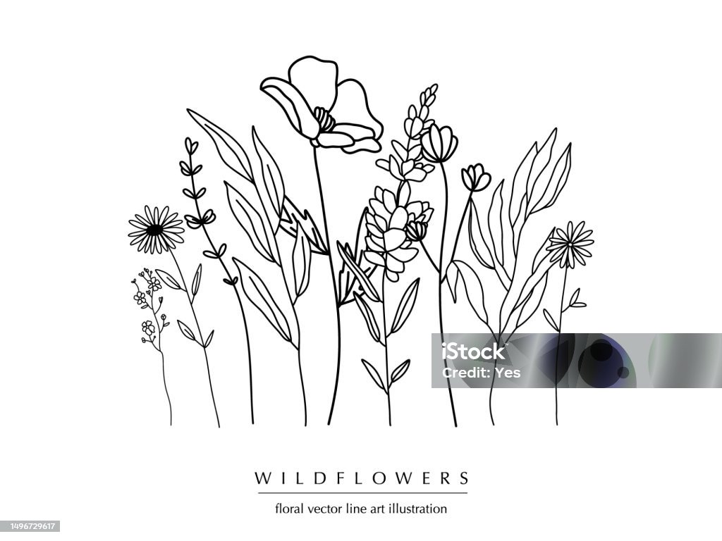 Botanical Abstract Line Art Composition Minimal Floral Border Of Hand