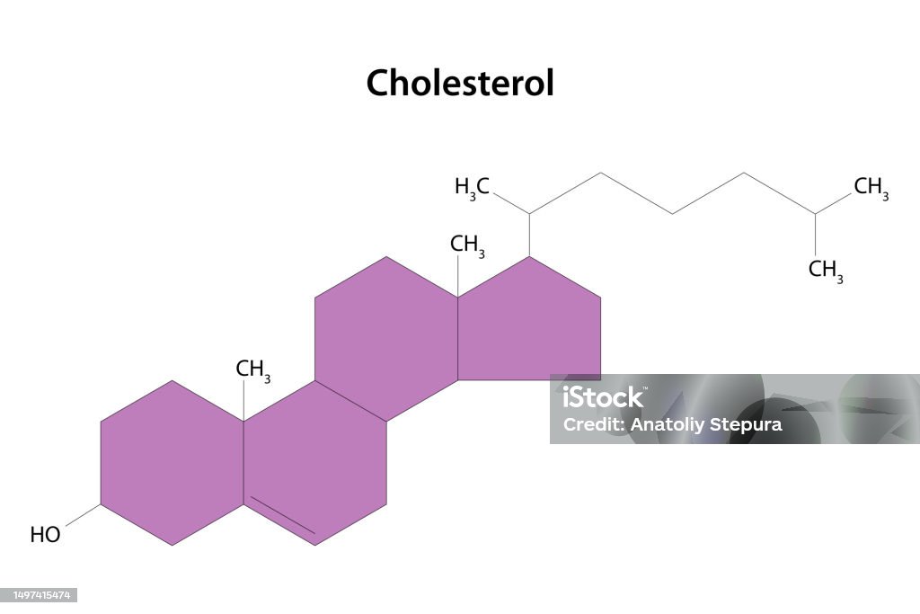 Cholesterol Molecule Structural Formula Stock Illustration - Download ... Cholesterol Molecule Structural Formula Stock Illustration - Download ...