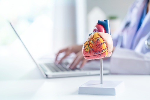 Dokter Berkonsultasi Dengan Pasien Di Laptop Dengan Model Anatomi