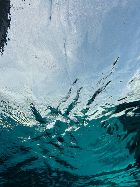 Free Stock Photo of View of Water Surface From Bottom | Download Free ...
