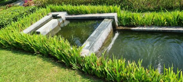 Free Stock Photo of Small garden with water ponds and lush vegetation ...