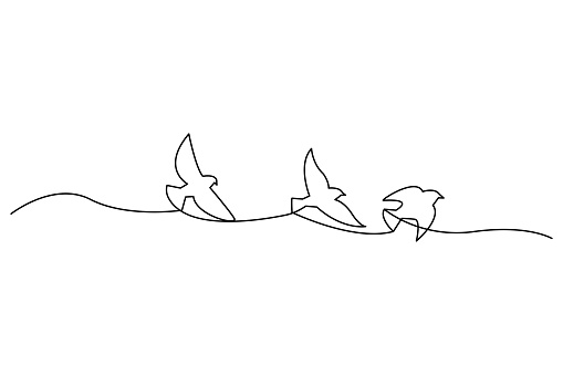 Dessin Au Trait Continu De La Colombe Volante Oiseau Symbole De Paix Et