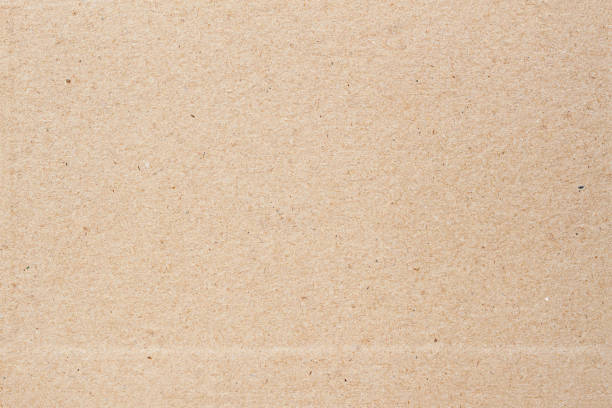 Light Kraft Paper Texture