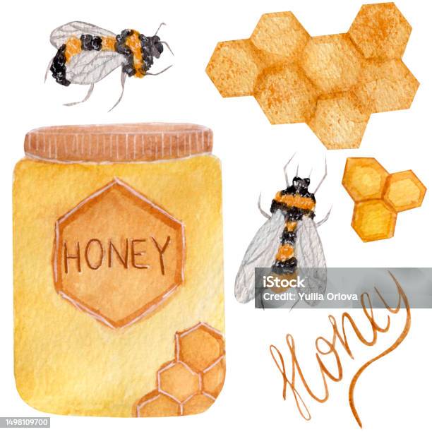 Collection Aquarelle Pot De Miel Nid Dabeilles Abeilles Et Lettrage