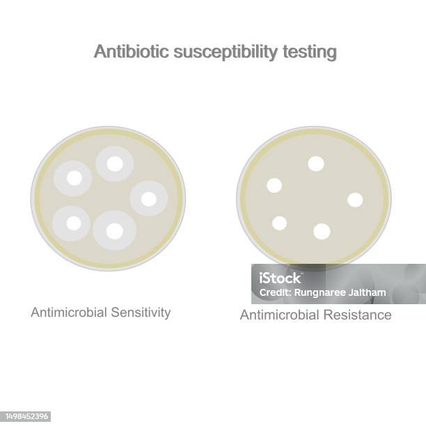 The Result Of Antibiotic Susceptibility Testing Antimicrobial