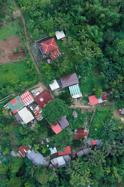 Free Stock Photo of Aerial View of Small Village Amidst Forest ...