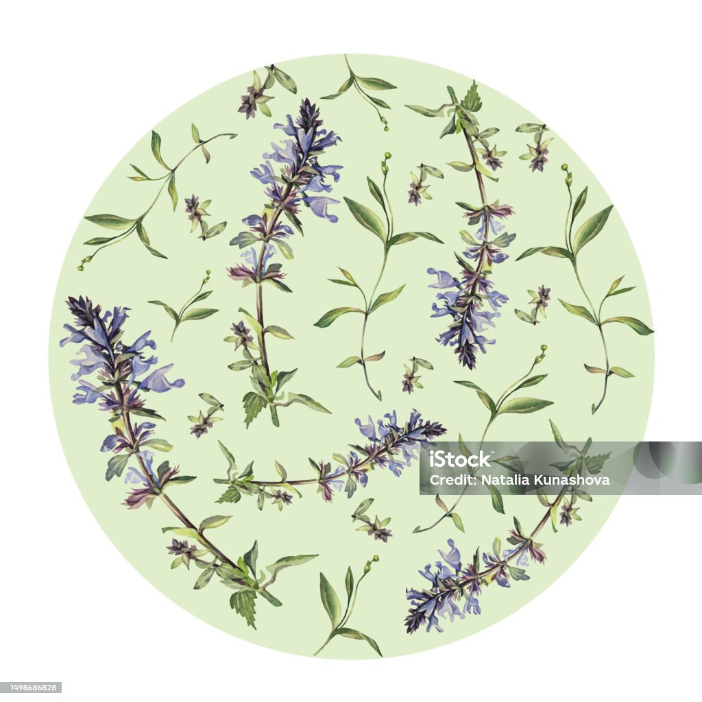 Composition Circulaire Verte Aquarelle Avec Pulmonaire Isolée Sur Fond
