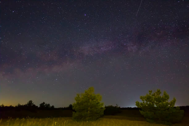 Free Stock Photo of Starry night sky over a grassy field | Download ...
