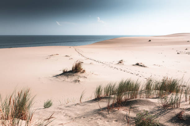 Free Stock Photo of sandbar beach bar sand barrier ridge ocean sea ...