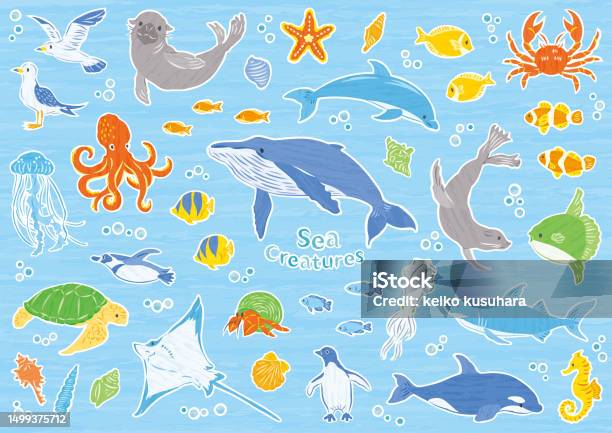 Набор Иллюстраций Морских Существ Линейный Рисунок — стоковая векторная