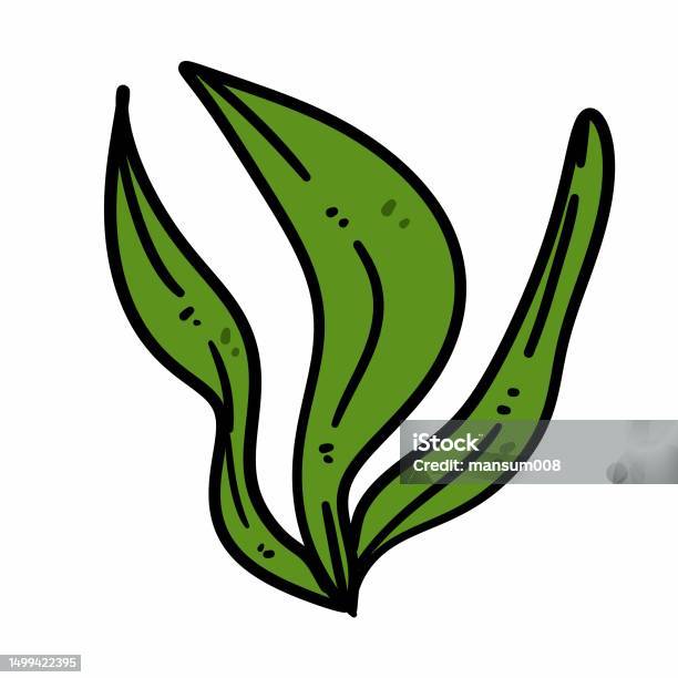 Illustration De Bande Dessinée De Feuilles Dherbe Vecteurs Libres De