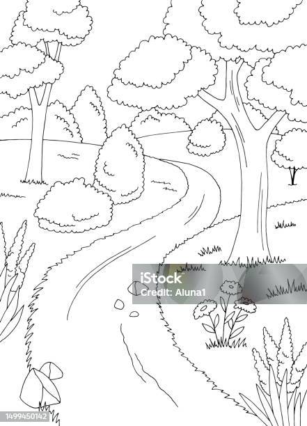Pohon Di Tepi Jalan Di Hutan Grafis Hitam Putih Lanskap Sketsa