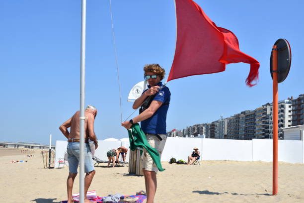 Free lifeguarding stock photos. Download the best free lifeguarding ...