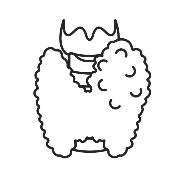 130 Thyroid Exam Ilustrasi Grafik Vektor And Clip Art Bebas Royalti