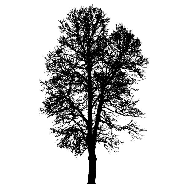 20+ Bulk Ash Background Stock Illustrations, Royalty-Free Vector ... 20+ Bulk Ash Background Stock Illustrations, Royalty-Free Vector ...