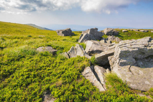 Free Stock Photo of Grassy Field With Rocks and Mountain | Download ...