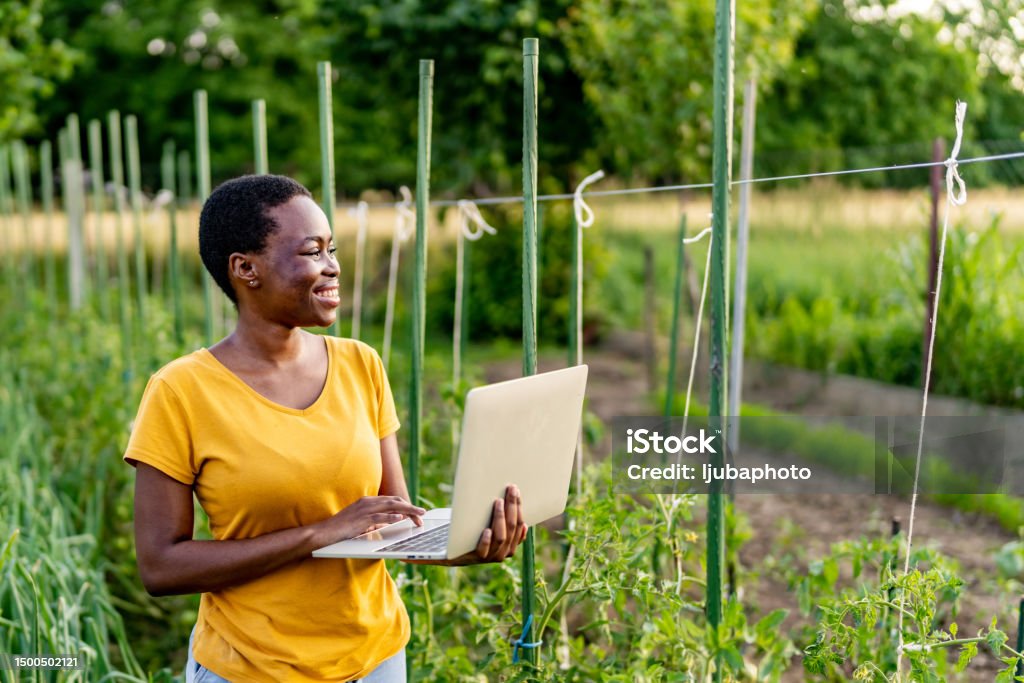 GitHub - Algorithm-Alliance/AgriHub: AI Solution for Empowering Rural ... GitHub - Algorithm-Alliance/AgriHub: AI Solution for Empowering Rural ...