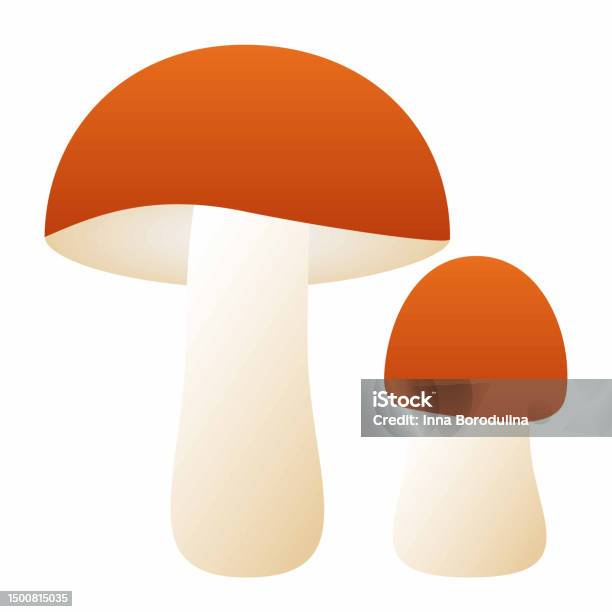 Mushroom Orange Boletus Element For Design Isolated On White Background