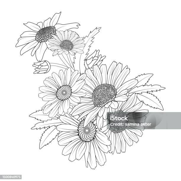 Daisy Flower Bouquet Tattoo Line Drawing Daisy Tattoo Outline Daisy ... Daisy Flower Bouquet Tattoo Line Drawing Daisy Tattoo Outline Daisy ...