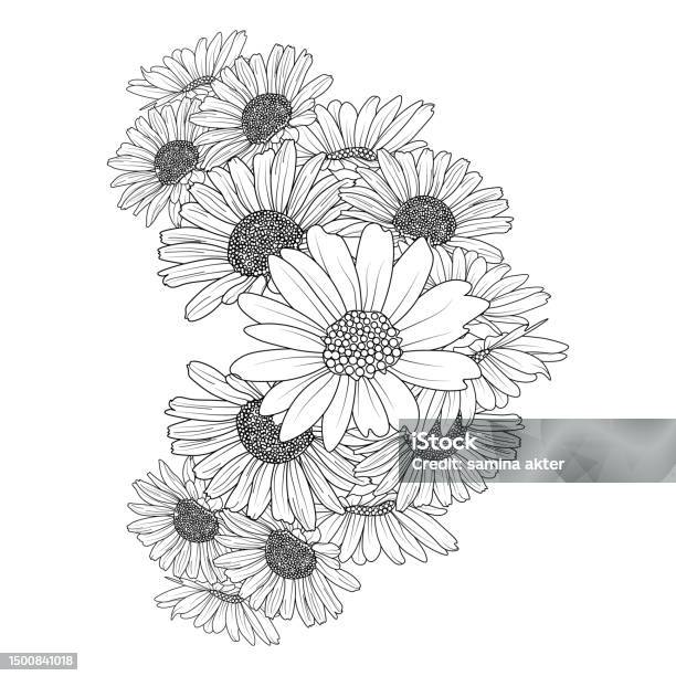 Daisy Flower Bouquet Tattoo Line Drawing Daisy Tattoo Outline Daisy ... Daisy Flower Bouquet Tattoo Line Drawing Daisy Tattoo Outline Daisy ...