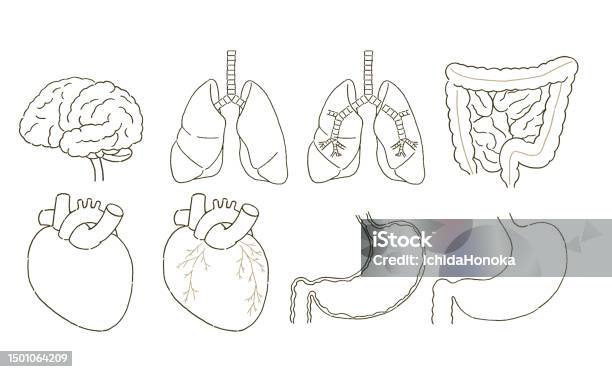 Médical Un Ensemble Dillustrations Médicales Avec Une Simple Touche