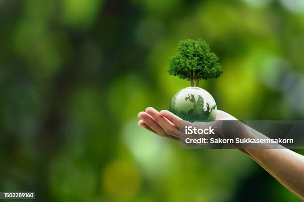 Global Sustainable Environment Concept Esg Net Zero Eco Co2 Carbon