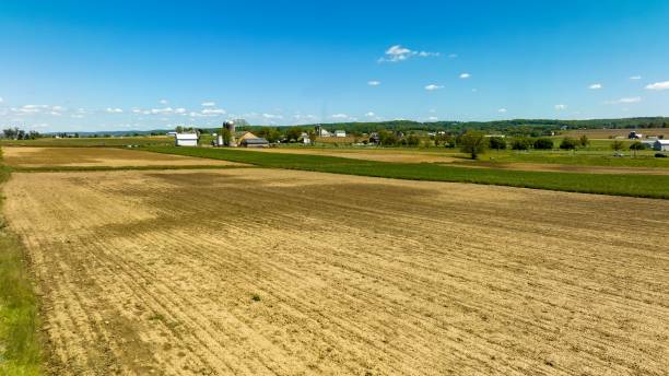 Free sprawling pasture stock photos. Download the best free sprawling ...