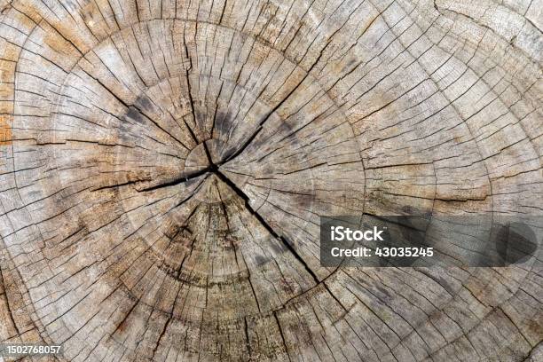 Wood Surface Texture Old Wood Crack Texture Wood Surface Wallpaper ... Wood Surface Texture Old Wood Crack Texture Wood Surface Wallpaper ...