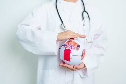 Photo Libre De Droit De Médecin Avec Modèle Danatomie De Lœil Humain Avec Loupe Maladie Oculaire