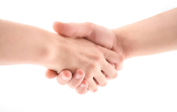 Free Stock Photo of Join Hands Together - White Background | Download ...