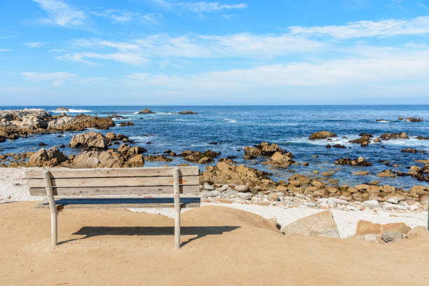 Bench Monterey Beach - Free photo on Pixabay - Pixabay