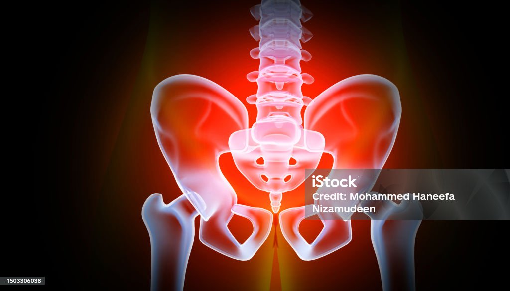 Anatomi Pinggul Manusia Tampilan Xray Ilustrasi 3d Foto Stok - Unduh ... Anatomi Pinggul Manusia Tampilan Xray Ilustrasi 3d Foto Stok - Unduh ...
