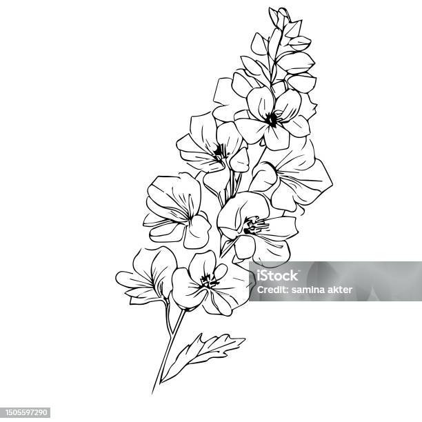 Small Minimalist Larkspur Tattoo Pencil Delphinium Drawing Outline