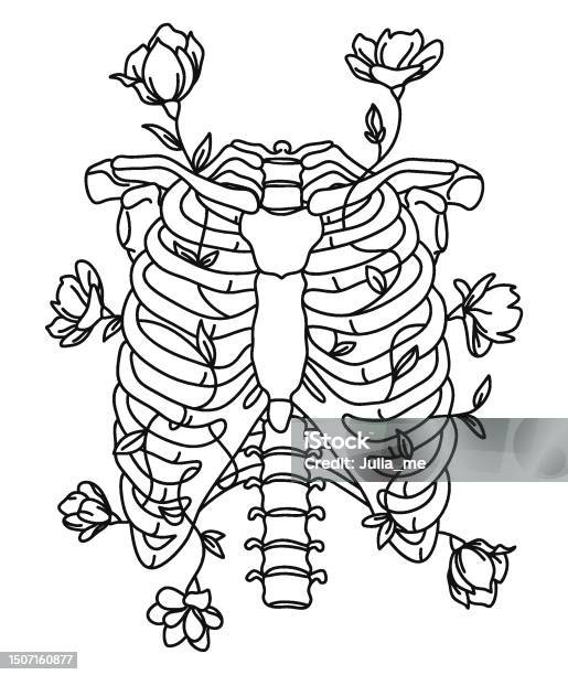 Cage Thoracique Et Fleurs Cage Thoracique Florale Squelette Vecteurs
