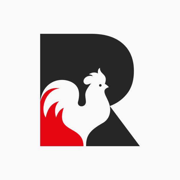 Over 400 Free Chicken Vectors - Pixabay - Pixabay