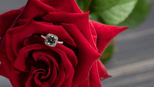 Free Stock Photo of A rose with a diamond on it | Download Free Images ...