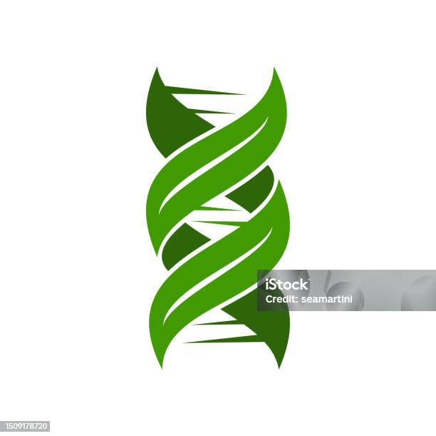 Icône Dadn De Feuille Symbole De Plante Avec Hélice De Gène Verte