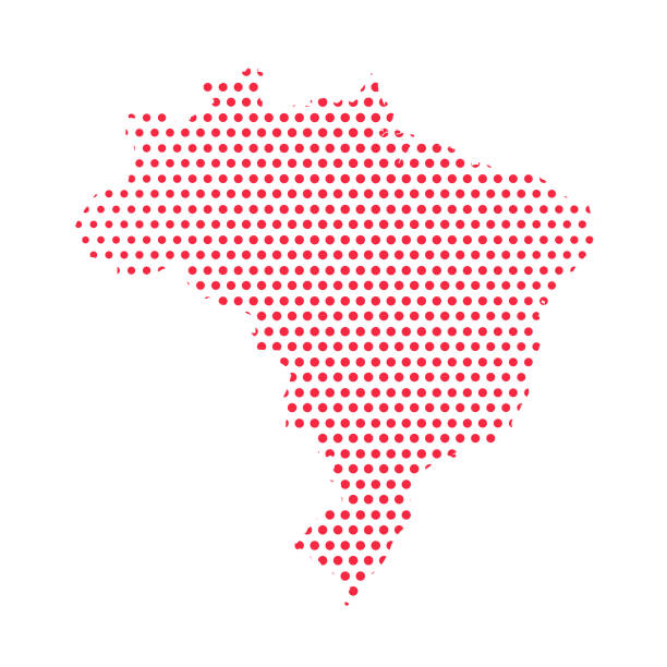 130 Mapa De Brasil Y Viajes Infografía Plantilla De Diseño Fotografías