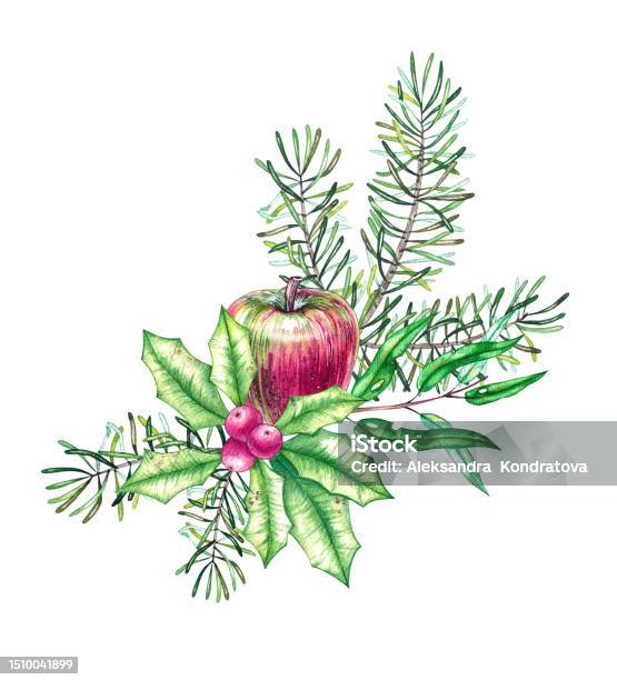 Karangan Bunga Natal Dari Cabang Pohon Jarum Apel Holly Dengan Latar ... Karangan Bunga Natal Dari Cabang Pohon Jarum Apel Holly Dengan Latar ...