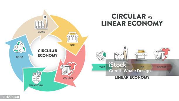 Le Schéma Vectoriel Infographique De La Différence Entre Léconomie